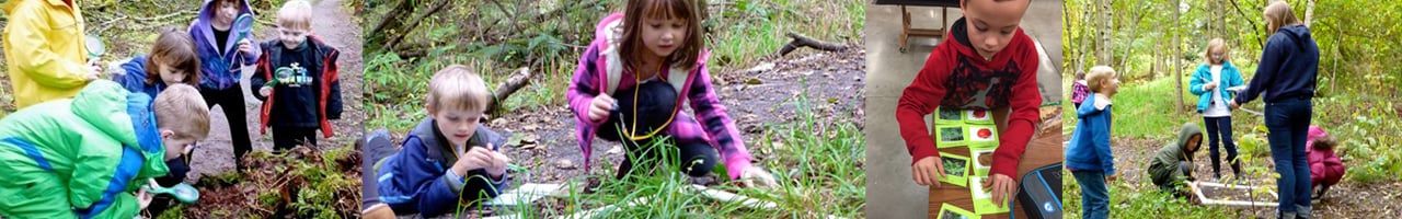 Student Green Teams – ecoschoolnetwork.org